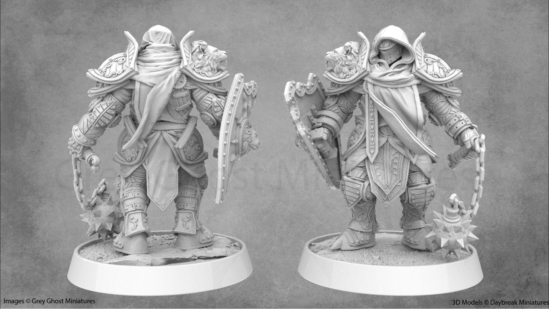 Mattias Du Lion Tuant Paladin Minis Paladins of the Silver | Etsy Canada