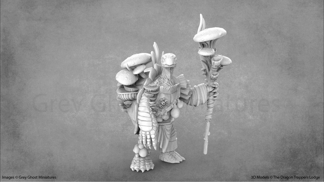 Doc Roony, Tortun Druid | Tortle Miniature | Dragon Trappers Lodge - Etsy