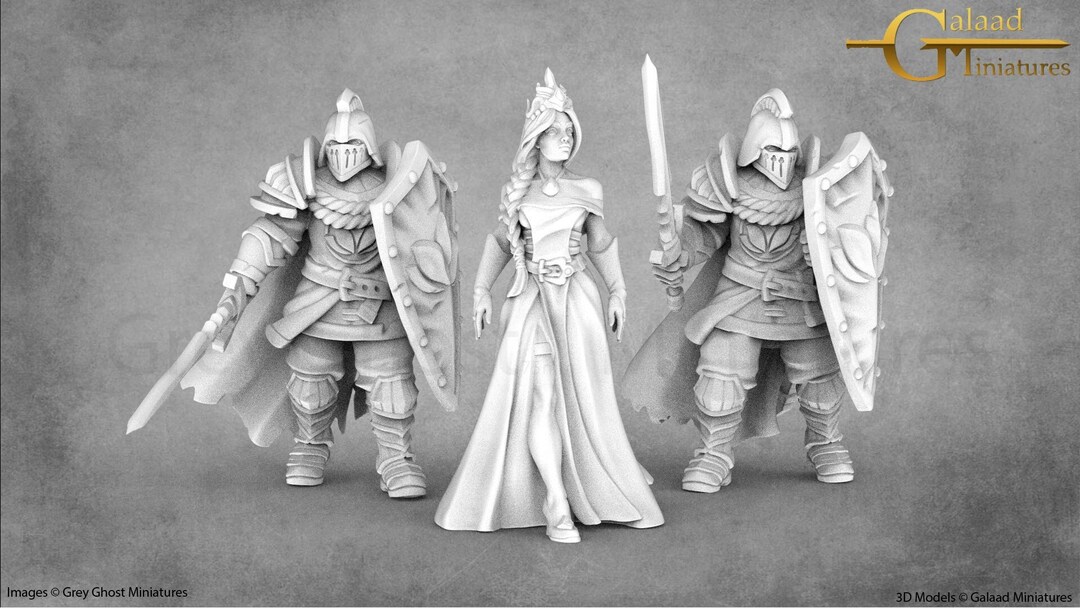 Royal Guard Miniatures | Queen | Guards | Knight | Galaad Miniatures - Etsy