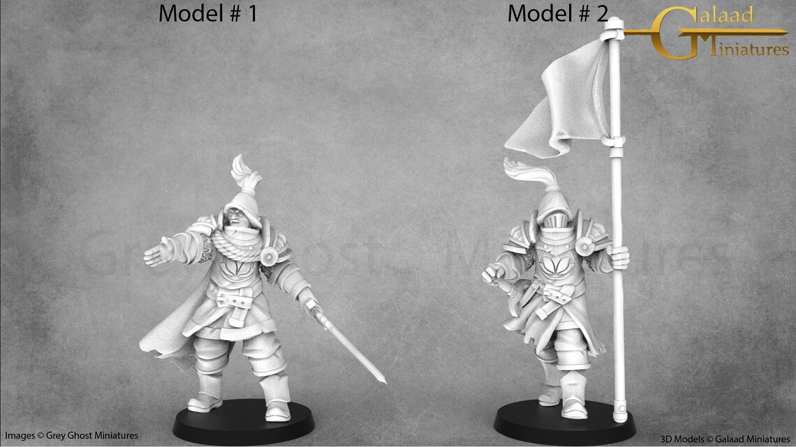 Royal Guard Miniatures | Queen | Guards | Knight | Galaad Miniatures - Etsy