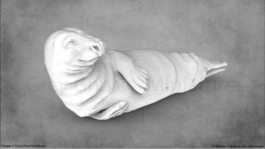 Grey Seal Miniatures | Animal Den Miniatures - Etsy