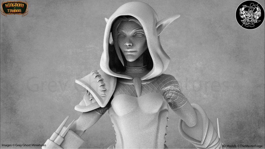 Elven Assassin Miniature | Elf Miniature | Assassin Miniature | Dnd ...