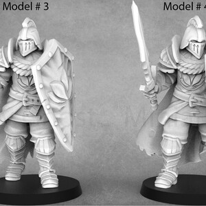 Royal Guard Miniatures | Queen | Guards | Knight | Galaad Miniatures - Etsy