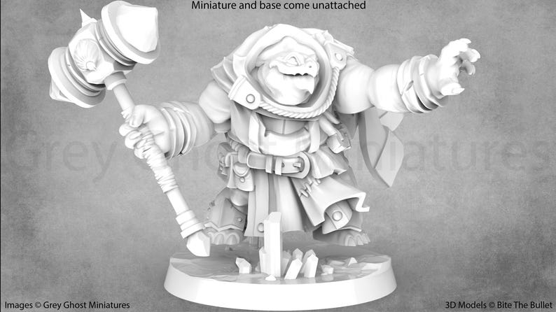 Tortle Miniature Set: Resin Cleric, Monk, Druid - D&D Tabletop RPG - Etsy