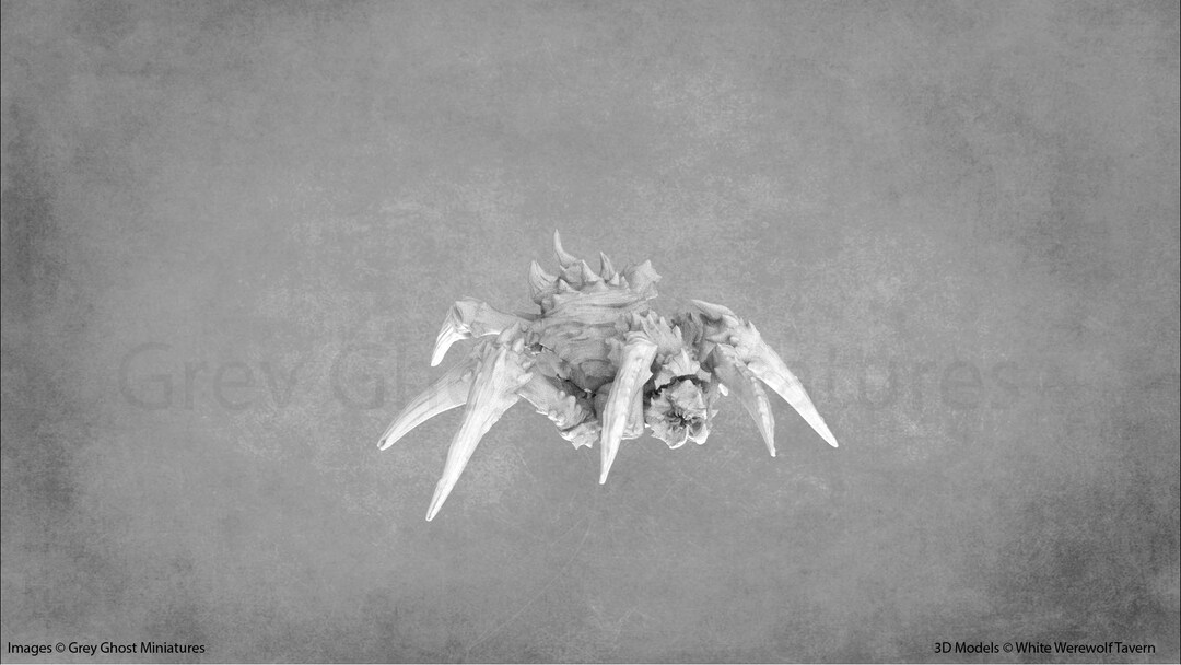 Giant Spider Model | 32mm Spider Miniature | White Werewolf Tavern - Etsy