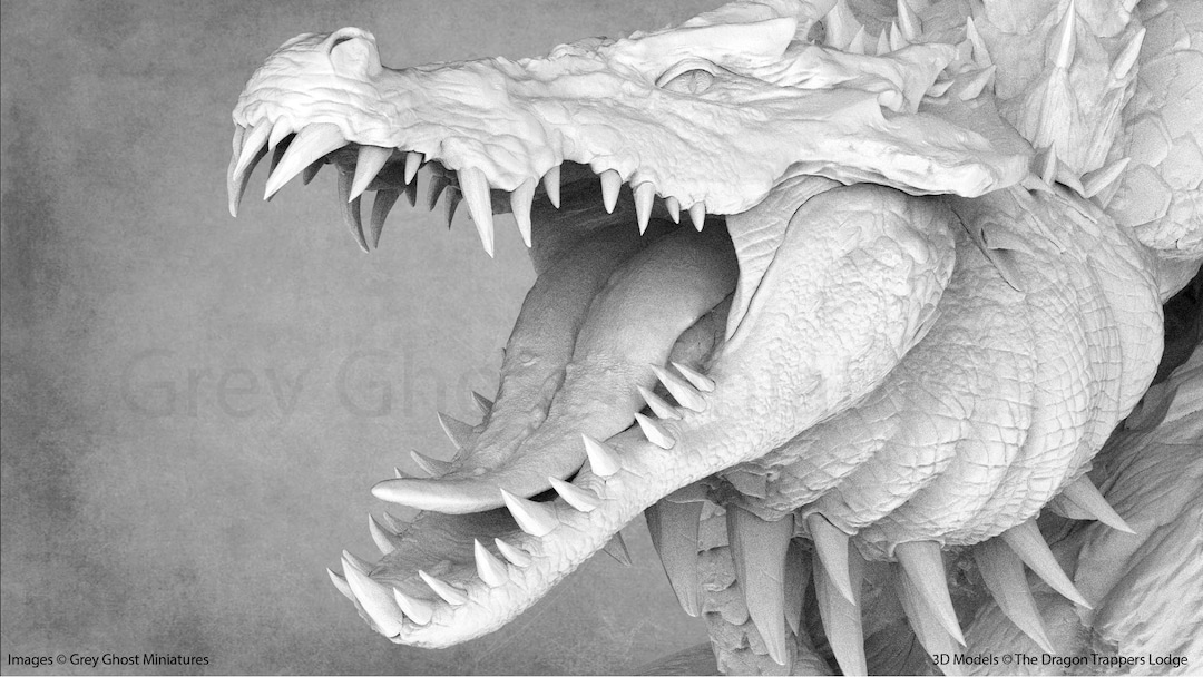 Gator Dragon Miniatures | Dragon Trappers Lodge - Etsy