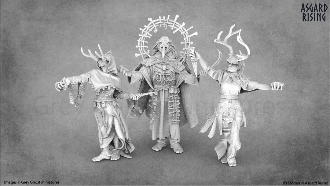 Hofgothi Viking Miniatures | Pagan Priest Miniatures | Asgard Rising - Etsy