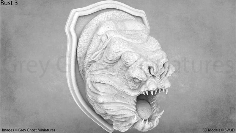 Legends of the Star Frontier | Scifi Miniatures | SW3D - Etsy