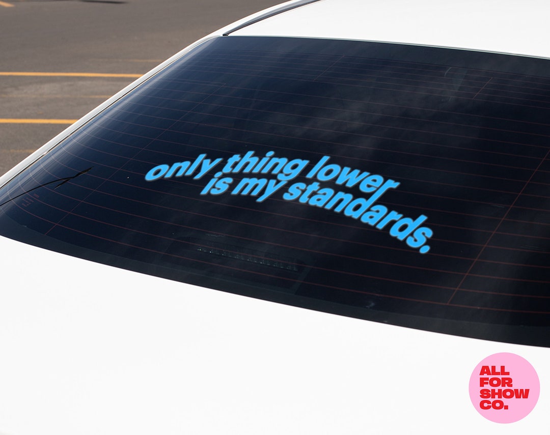 Lower Standards Vinyl Custom Car Decal - Etsy