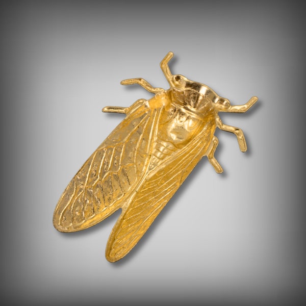 Cicada Brooch - Etsy