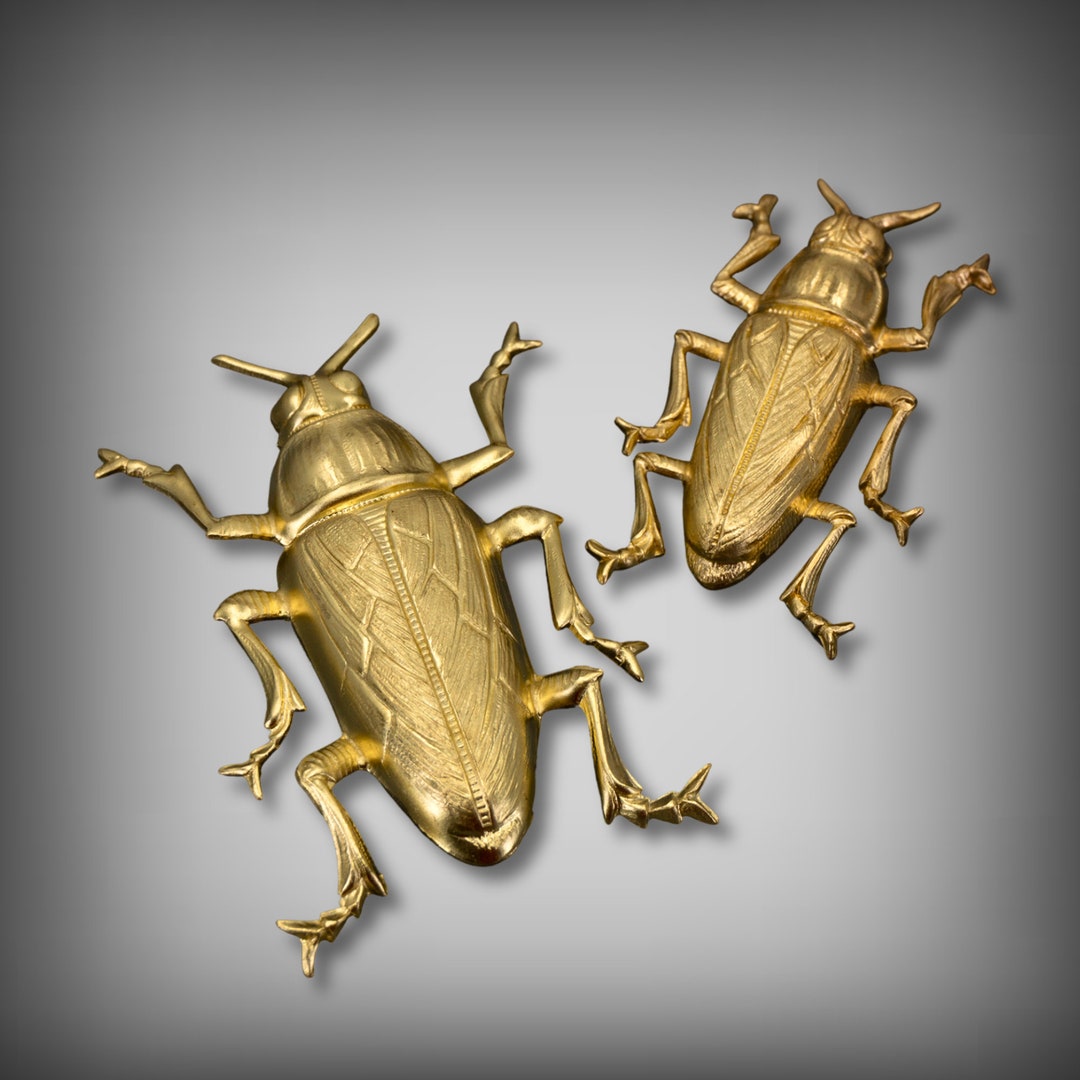 Unplated Brass Beetle Bugs: Large Insect Jewelry Findings - Etsy