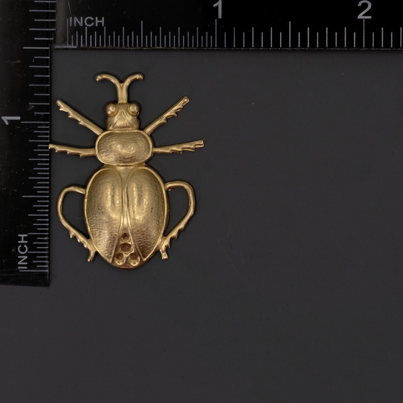 Brass Beetle Bugs Unplated Brass Insects Jewelry Components - Etsy