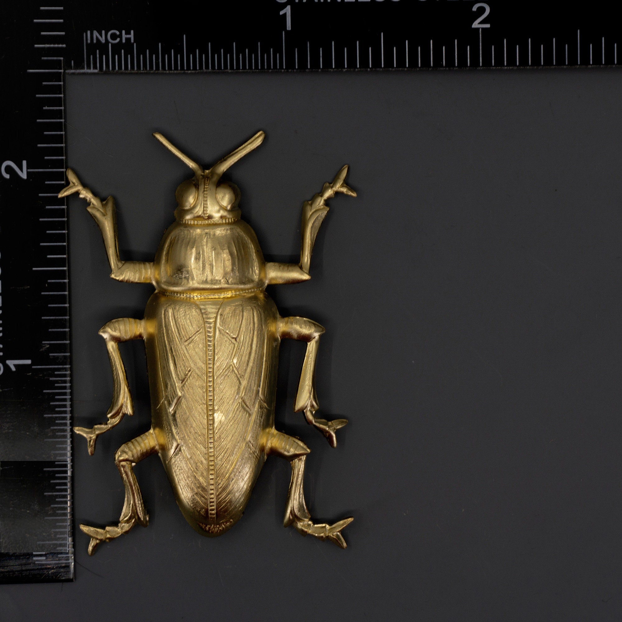 Brass Findings LARGE Brass Beetle Bugs Unplated Brass | Etsy