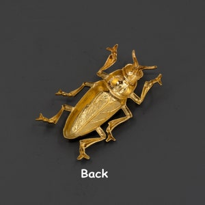 Brass Findings, LARGE Brass Beetle Bugs, Unplated Brass Insects ...