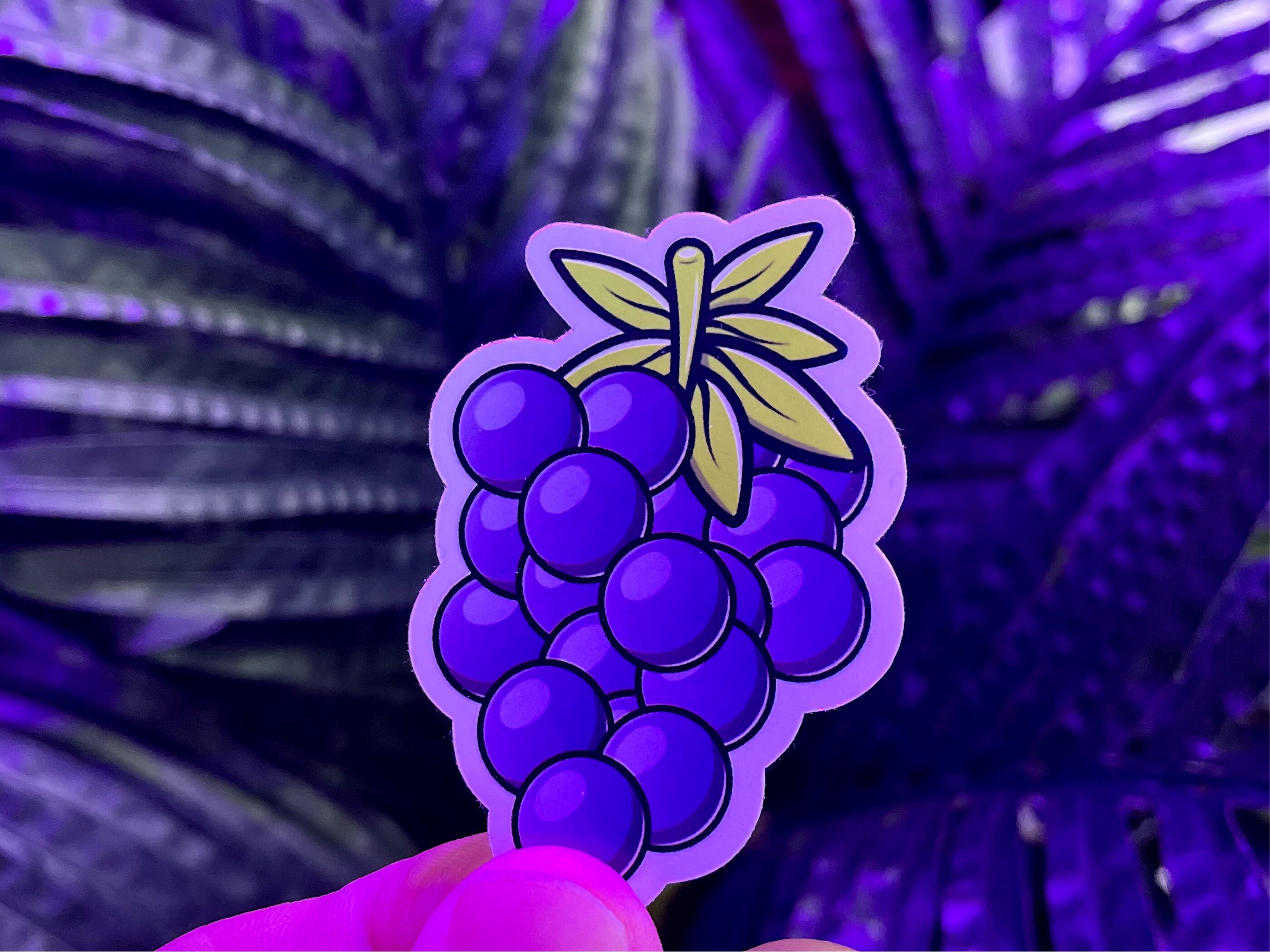 Mixed Fruit Sticker | Cute Fruit Sticker | Modern Digital Art | 1pc ...