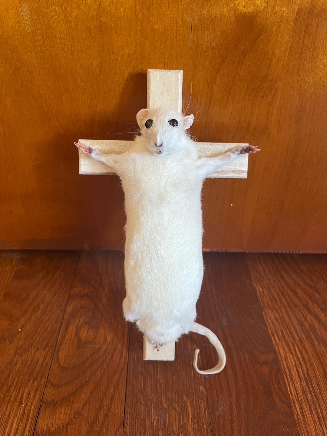 Cheezus Rat Crusfix Cross Taxidermy Oddity - Etsy