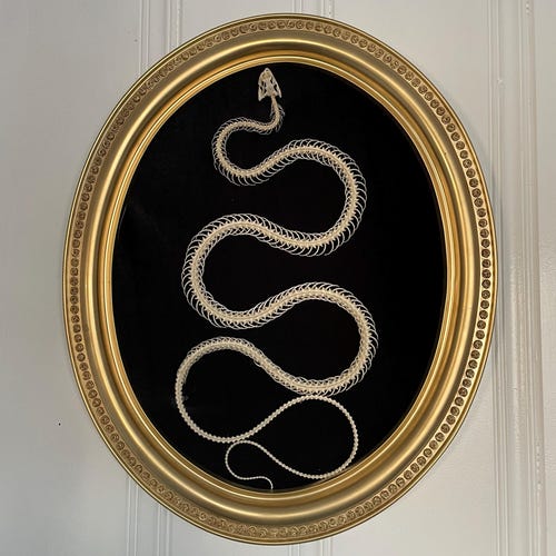 odditiesandplants - Etsy