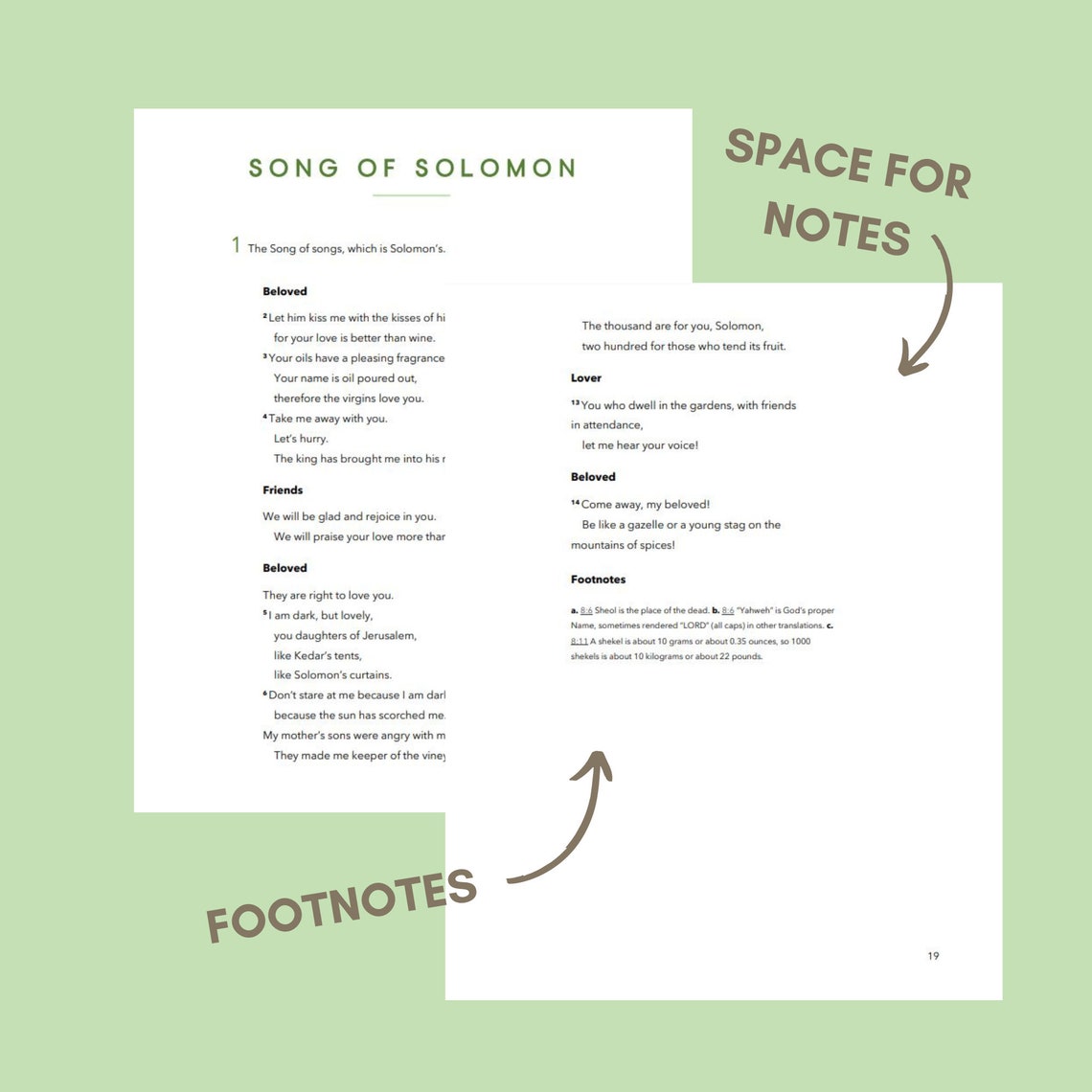 Song of Solomon Printable || Bible Reading & Journaling || Scripture ...