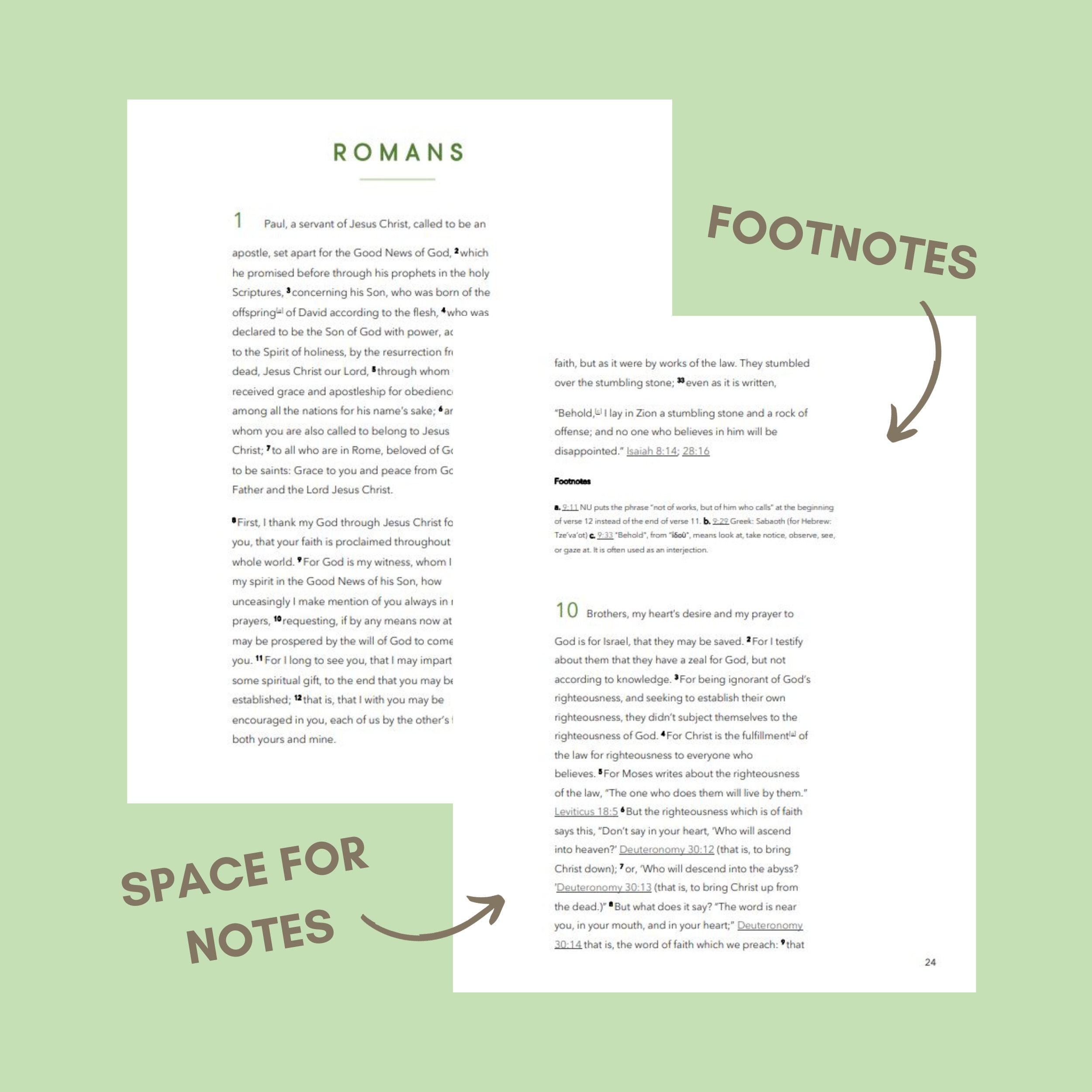 Romans Printable (WEB Translation, Digital Download) - Etsy