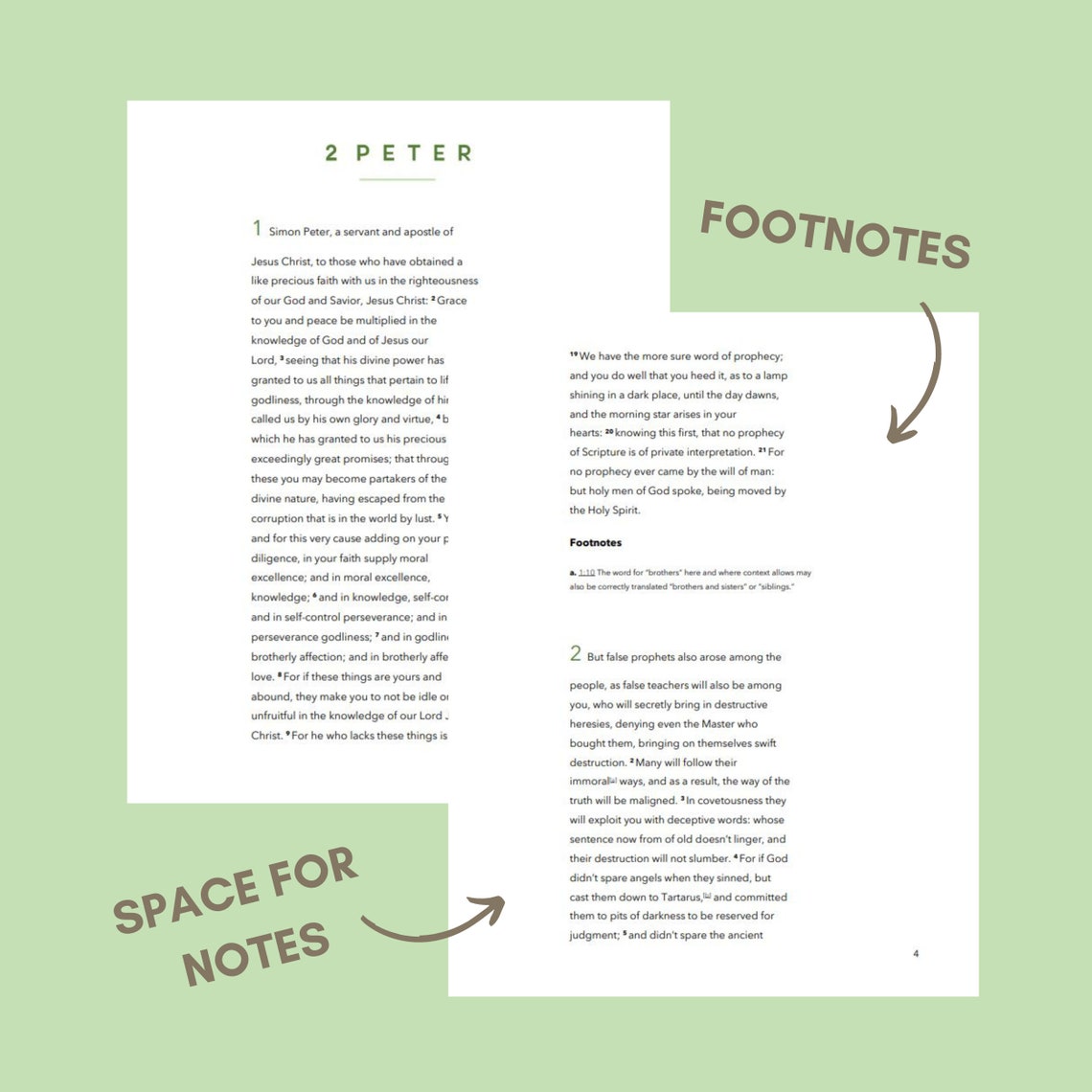 2 Peter Printable || Bible Reading & Journaling || Scripture Study and ...