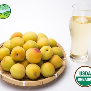 Japanese UME Syrup,梅シロップ,매실엑기스(100% 천연발효 오개닉),梅子提取物,chiết Xuất Mận Ume ...