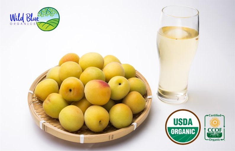 Japanese UME Syrup,梅シロップ,매실엑기스(100% 천연발효 오개닉),梅子提取物,chiết Xuất Mận Ume ...