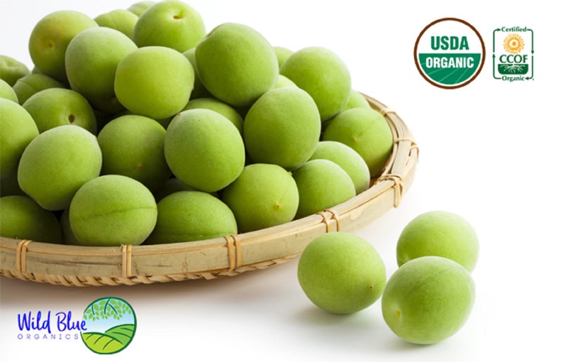 Japanese UME Syrup,梅シロップ,매실엑기스(100% 천연발효 오개닉),梅子提取物,chiết Xuất Mận Ume ...