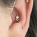 Conch Labret, 16 Guage, Internally Threaded, Conch Earring, 316L ...