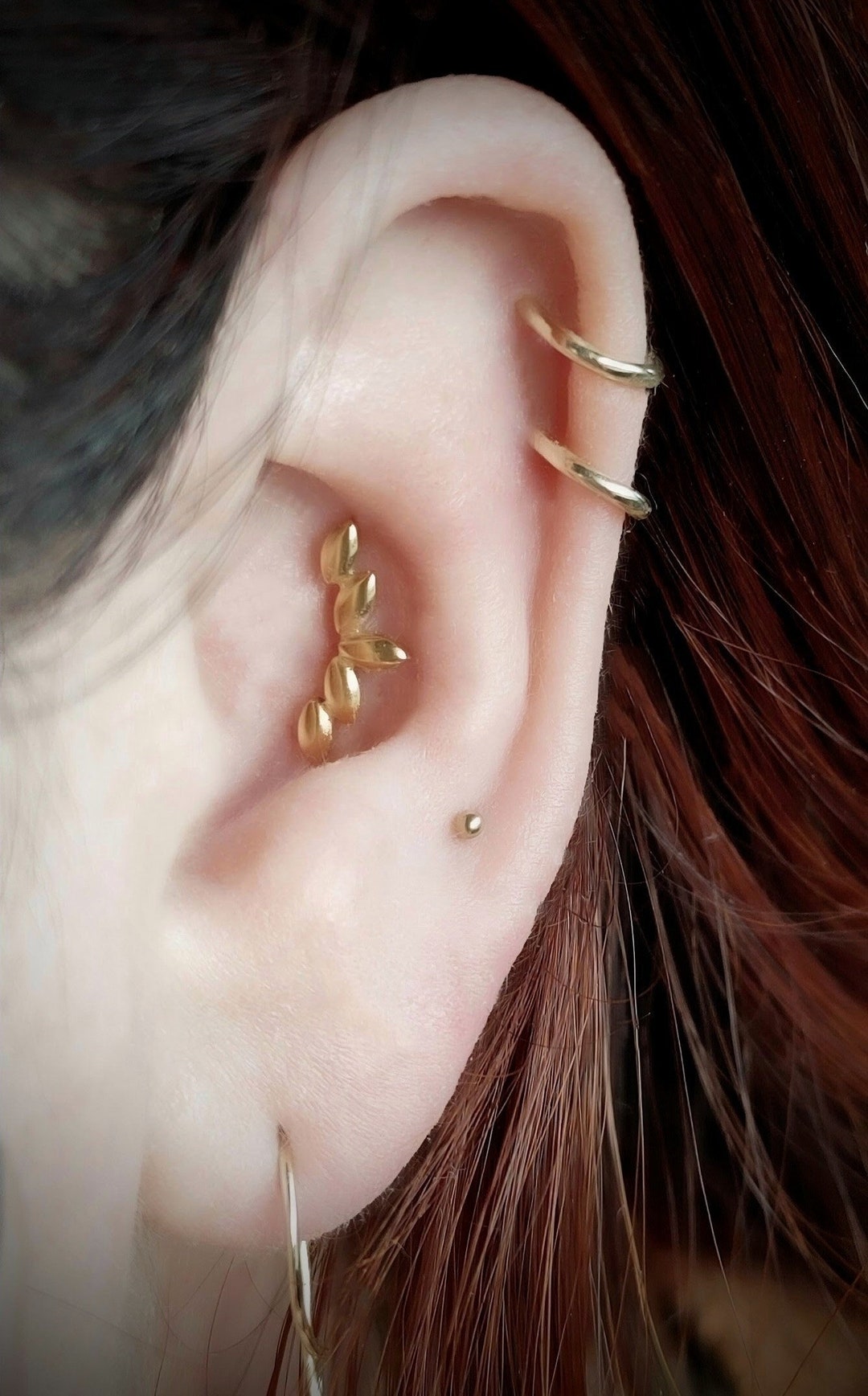 ASTM F136 Titanium Five Leaf Conch Labret, Internally Threaded, 16 ...