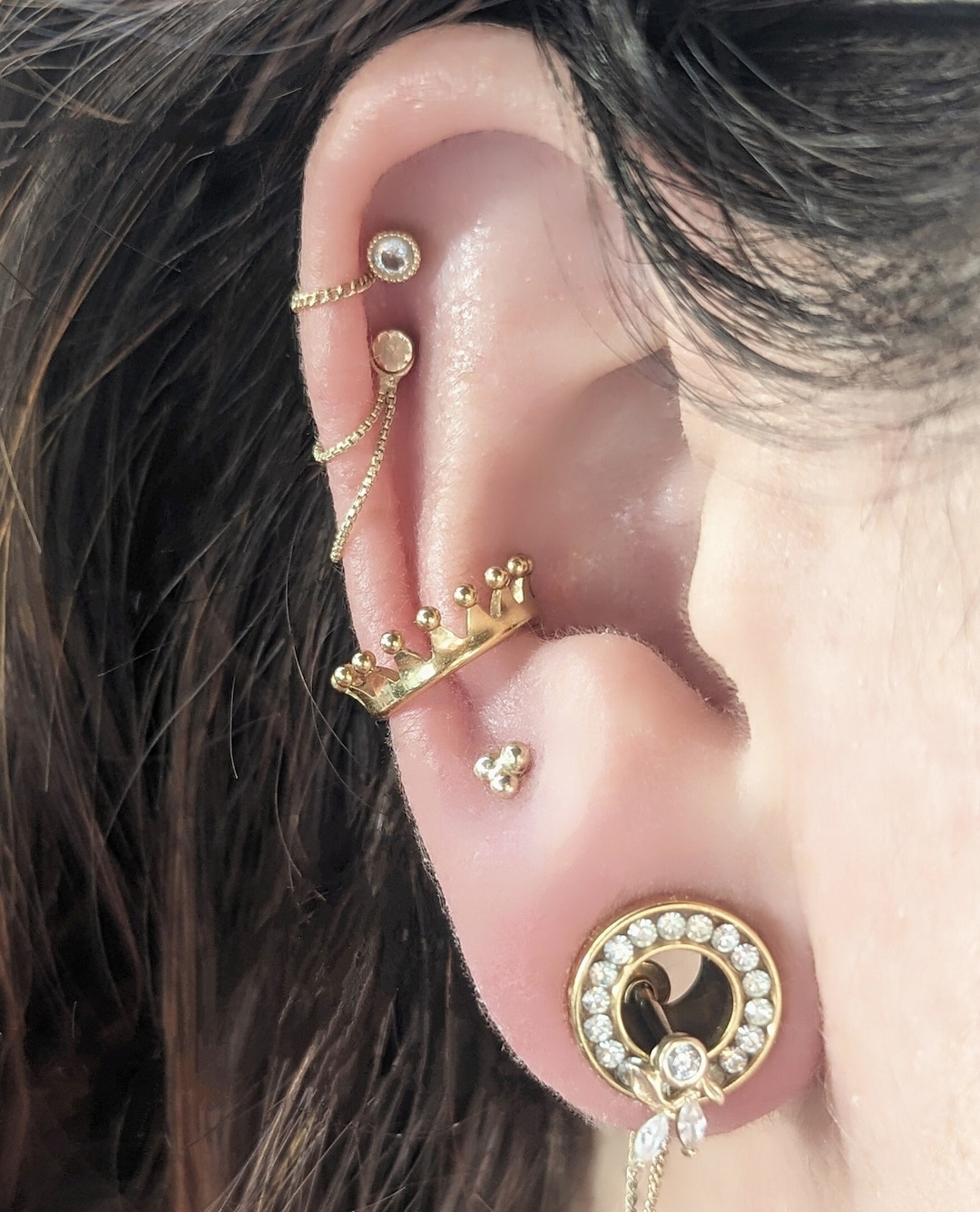 ASTM F136 Titanium Crown Conch Clicker Hoop, 8mm, 10mm, Gold Conch ...