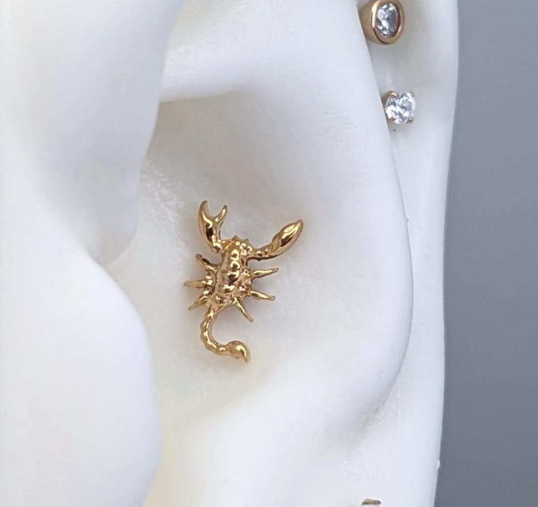 ASTM F136 Titanium Scorpion Conch Earring, Conch Labret, Internally ...