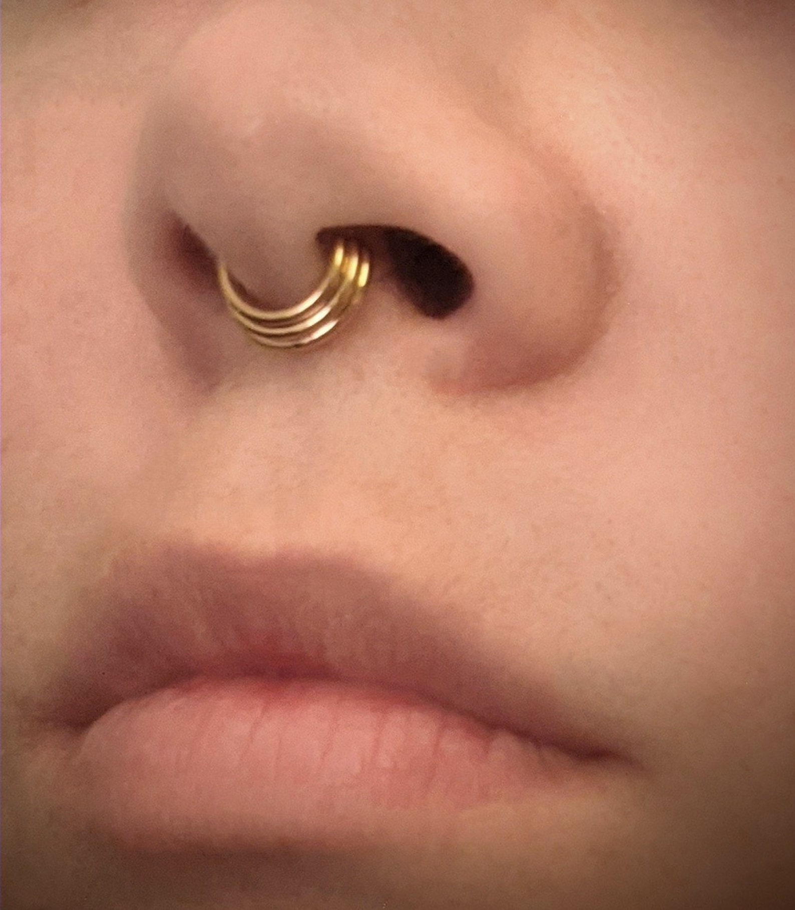 ASTM F136 Titanium Triple Stacked Conch Hoop 16 Guage Gold - Etsy