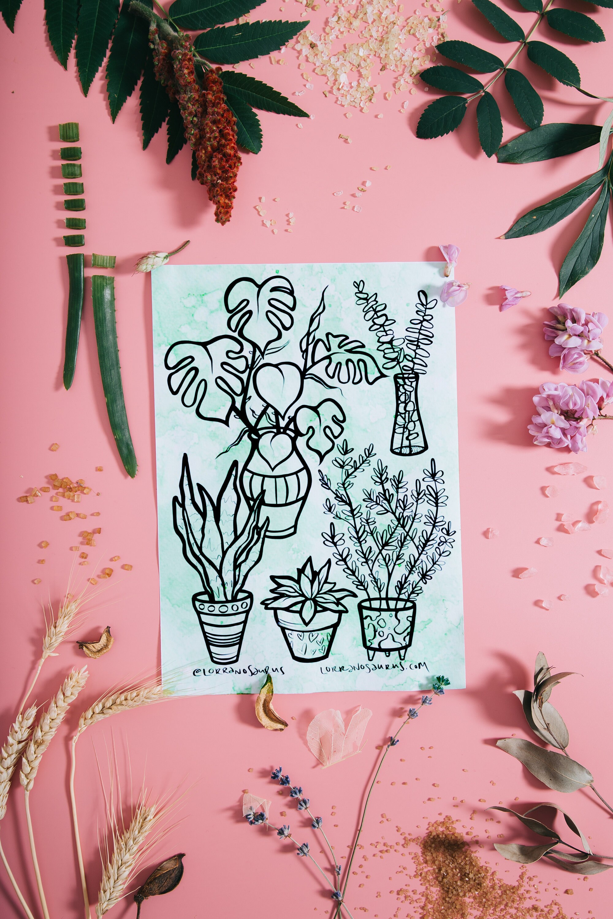 Botanical Houseplant Printable Adult Coloring Page - Etsy