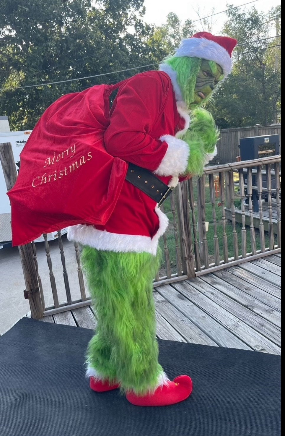 The Grouch Christmas Meanie , Green Grouchy Full Costume , Jim Wearable ...