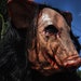 Scary Bloody Pig Mask - Etsy UK