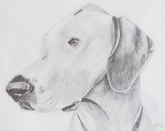 Great Dane Sketch | Etsy