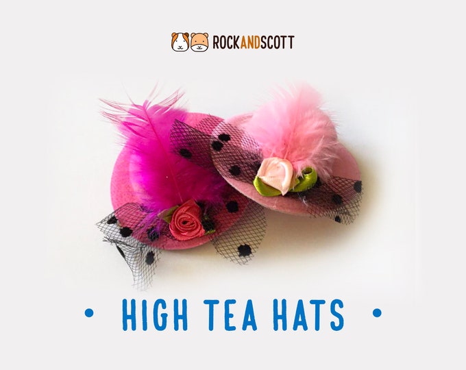 Guinea Pig High Tea Hats Hats for Hamsters, Rats, Chinchilla, Hedgehog ...