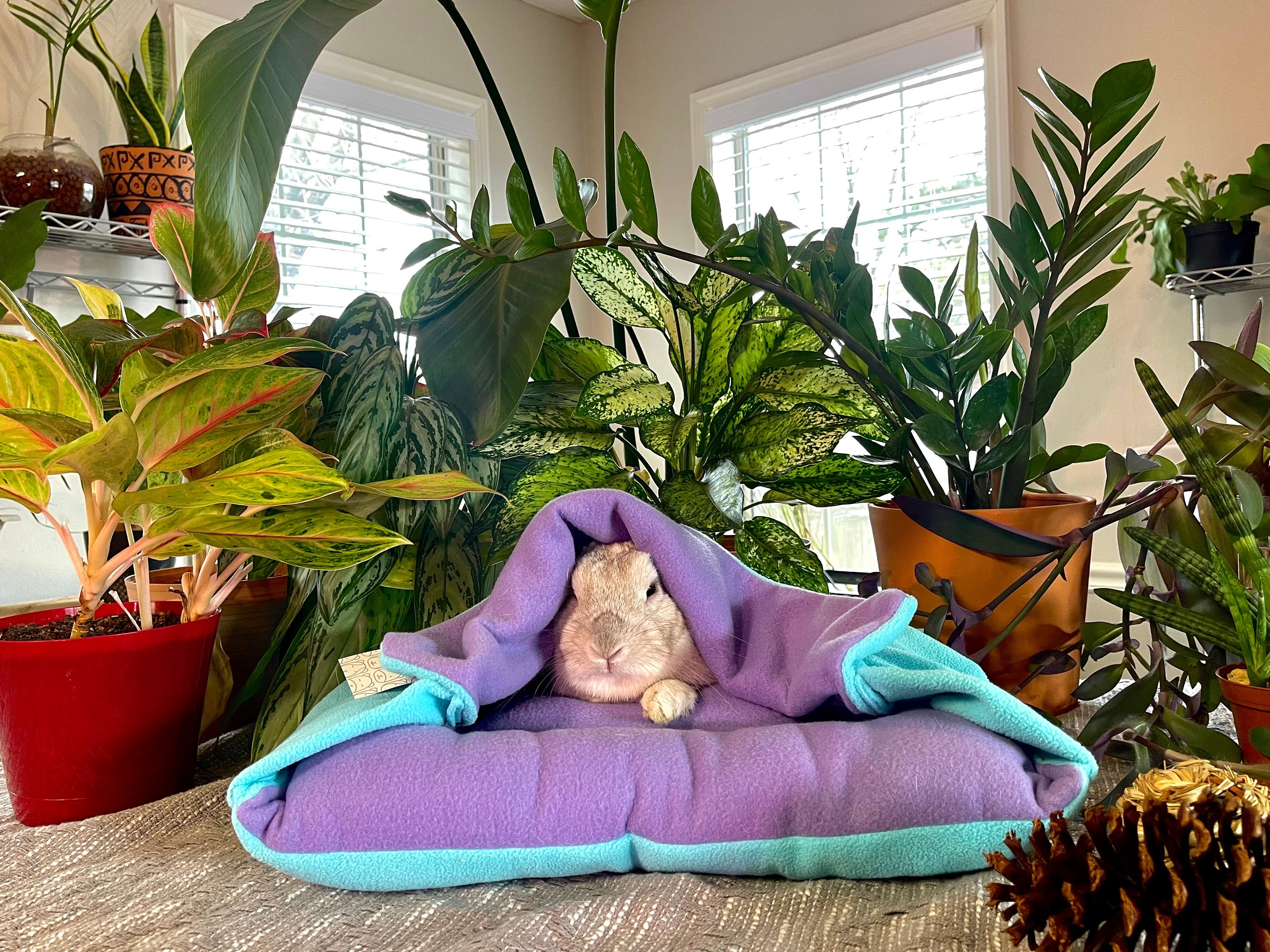 2-in-1 Snuggle Pouch for Bunnies & Cats Large Snuggle Sack - Etsy