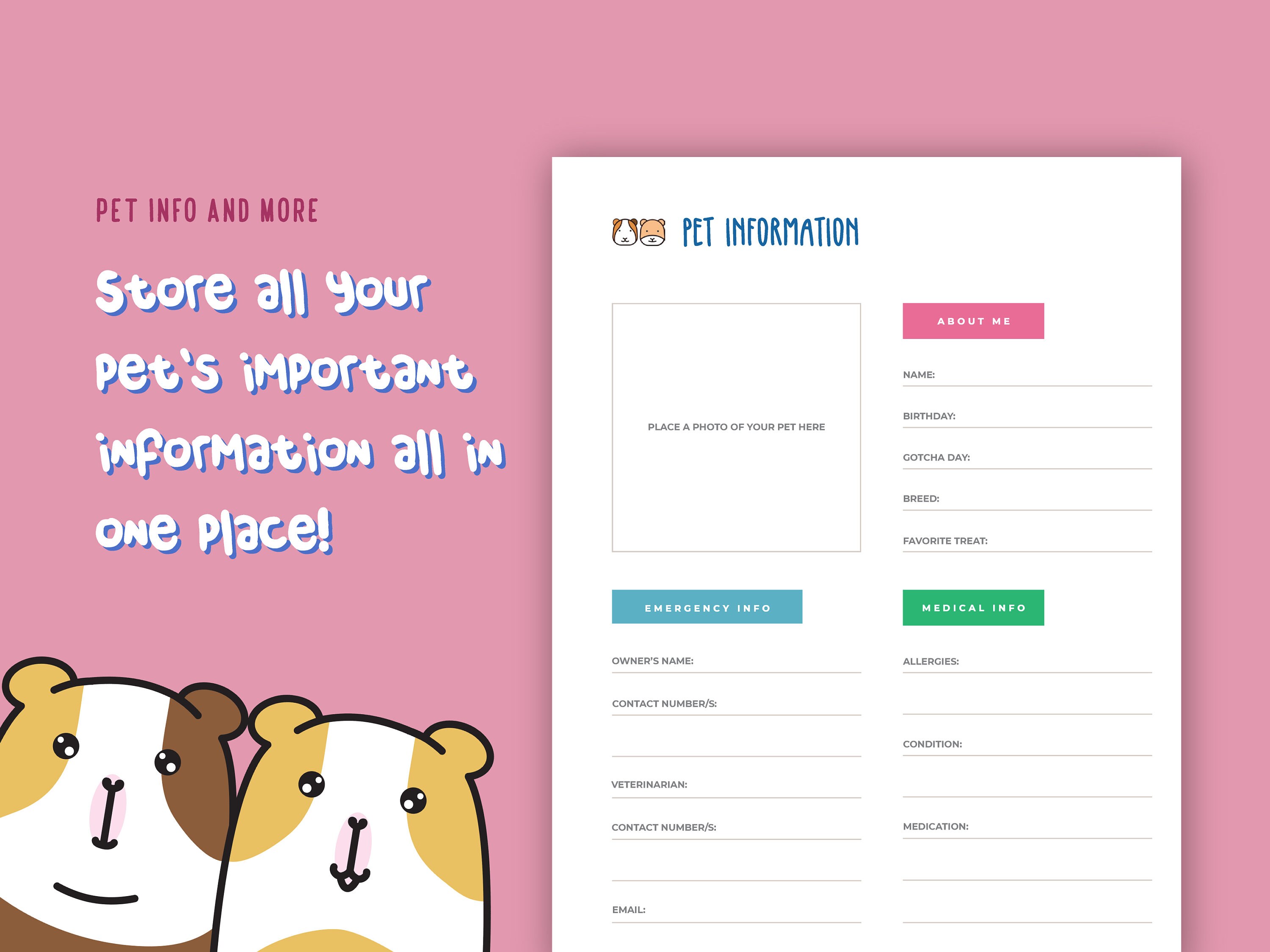 Guinea Pig Care Binder Pages Downloadable Guinea Pig Journal | Etsy ...