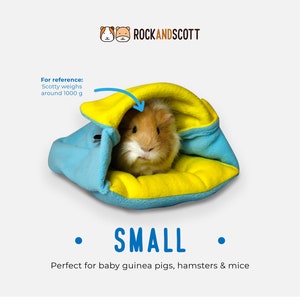 2-in-1 Snuggle Pouch for Small Animals Small Snuggle Sack - Etsy