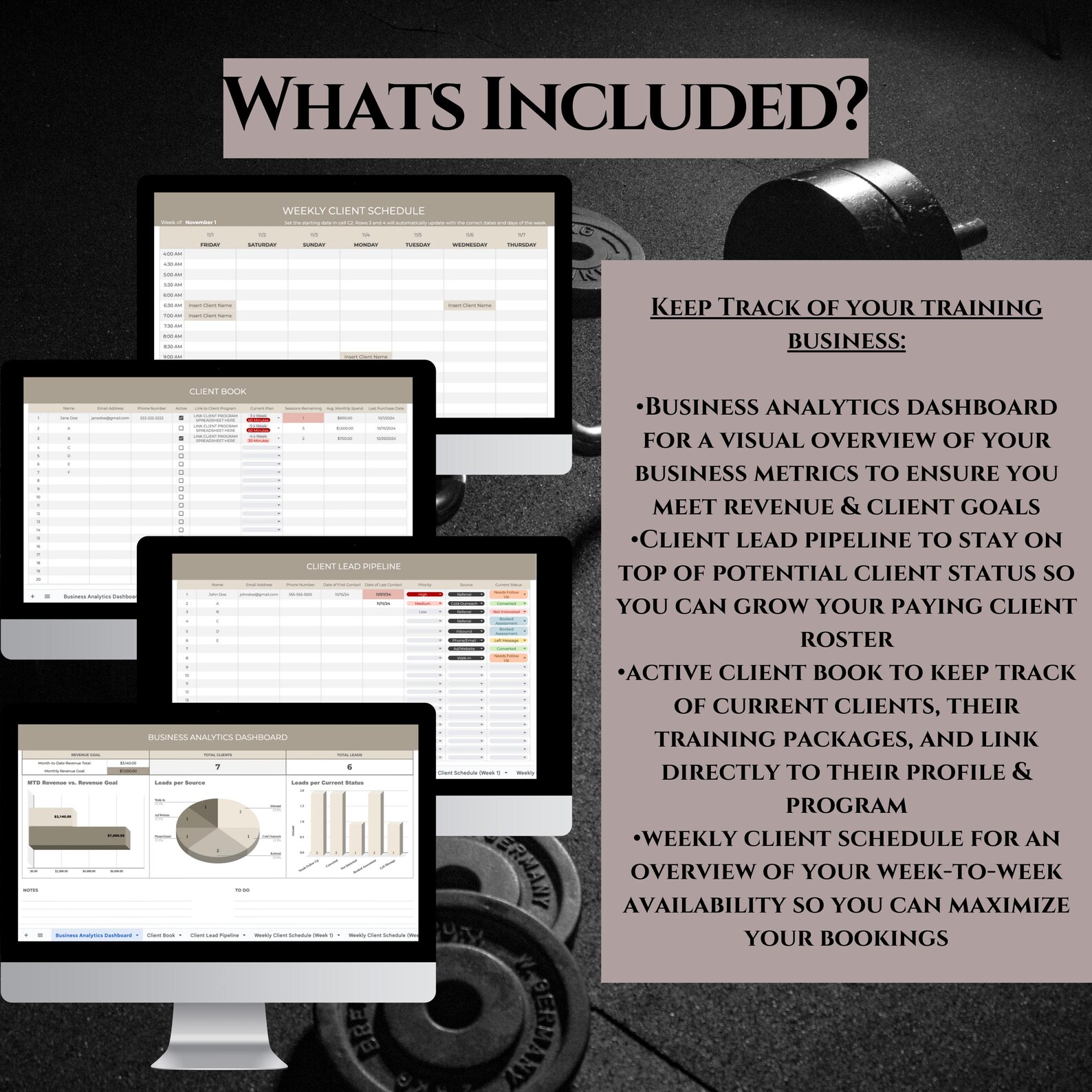 Personal Trainer Client Tracking Template BUNDLE, Client Program, TDEE ...