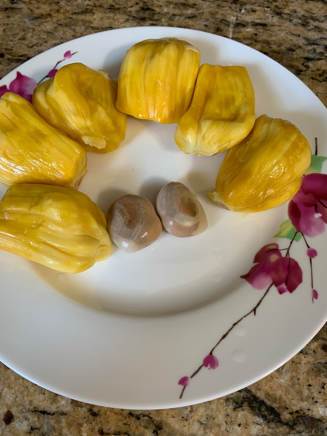 Jackfruit Fresh Seed - Tropical Plan Lot of 8 Seeds- - Etsy