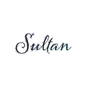 Arabic Name Sultan Diwani Calligraphy. Png and Svg. Instant Digital ...