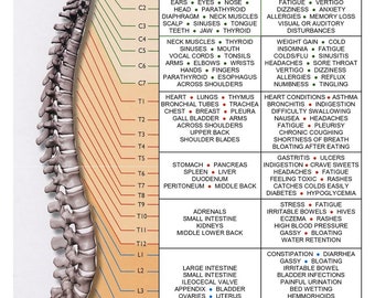 Spinal Nerve Chart | Etsy