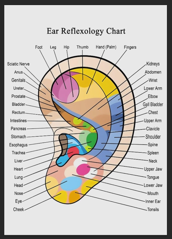 Ear Reflexology