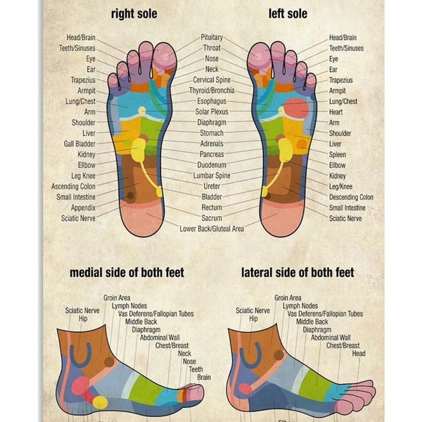 Foot Reflexology Chart Poster - Etsy