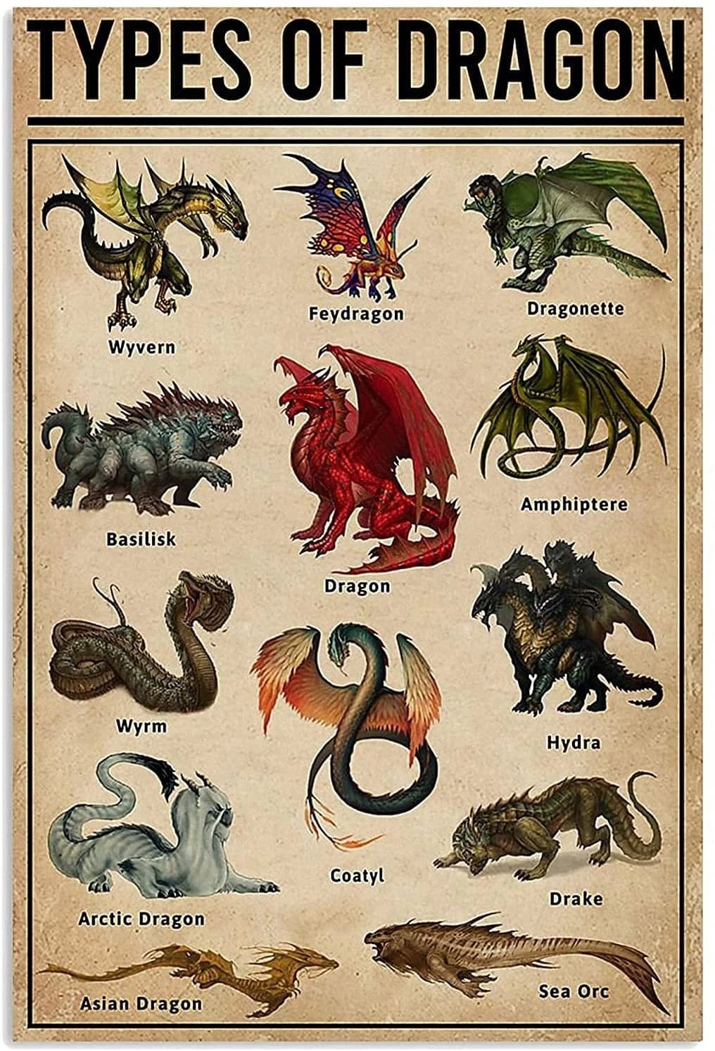 Types of Dragon Poster No Frame Home Decor - Etsy