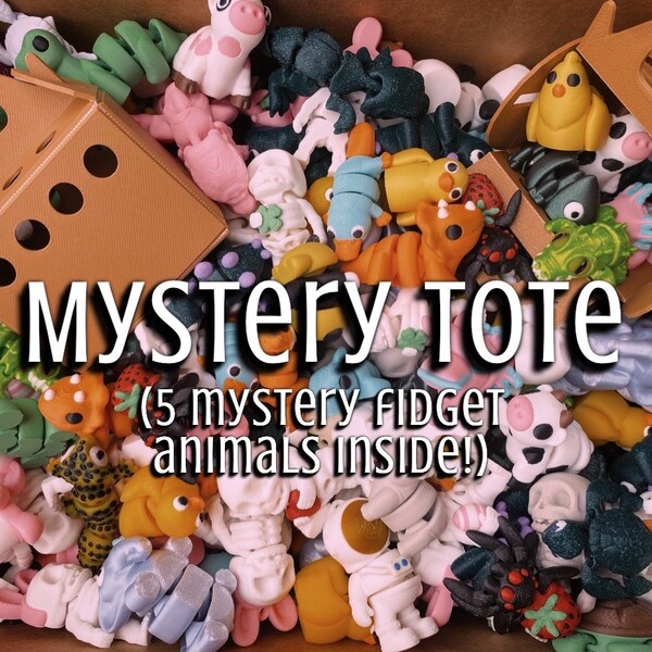 Cute Fidget Mystery Box - Etsy
