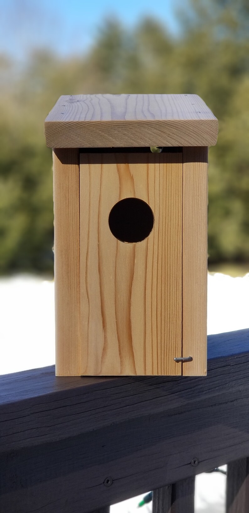Bluebird House - Etsy