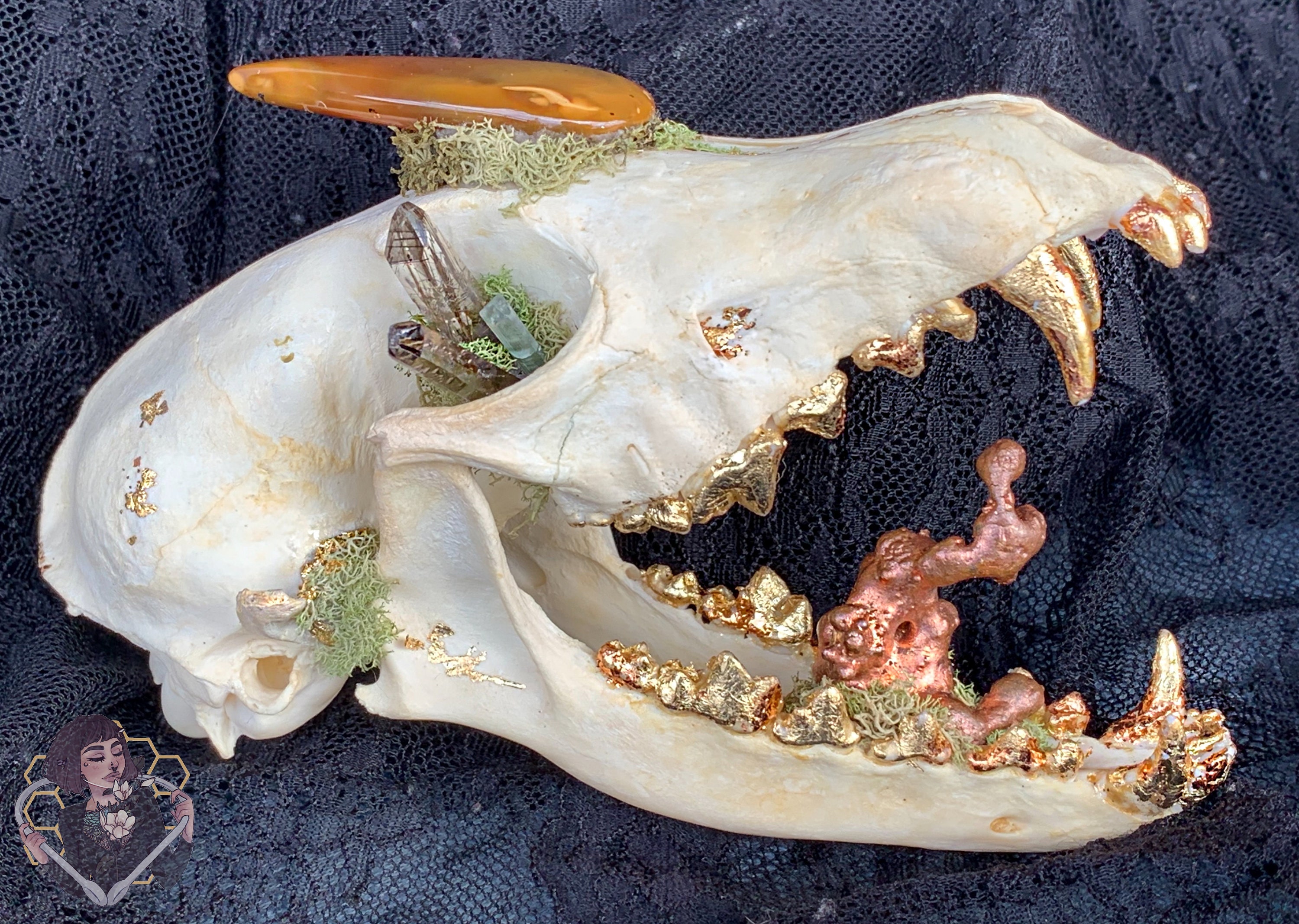 Red Fox Skull - Etsy